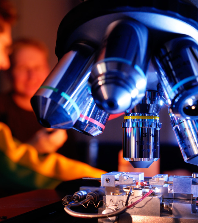 7 reasons why you should visit the Netherlands | NL Platform